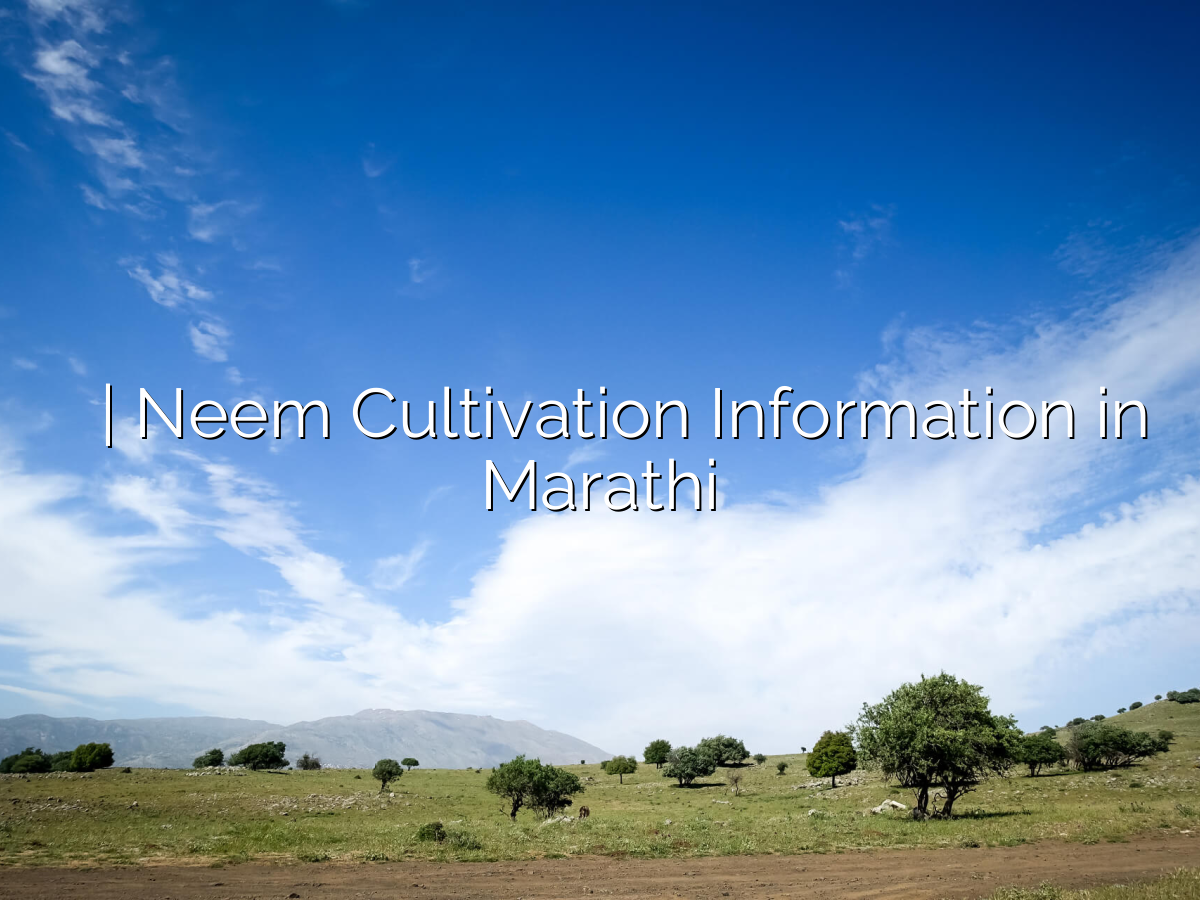 नायम लागवड माहिती | Neem Cultivation Information in Marathi